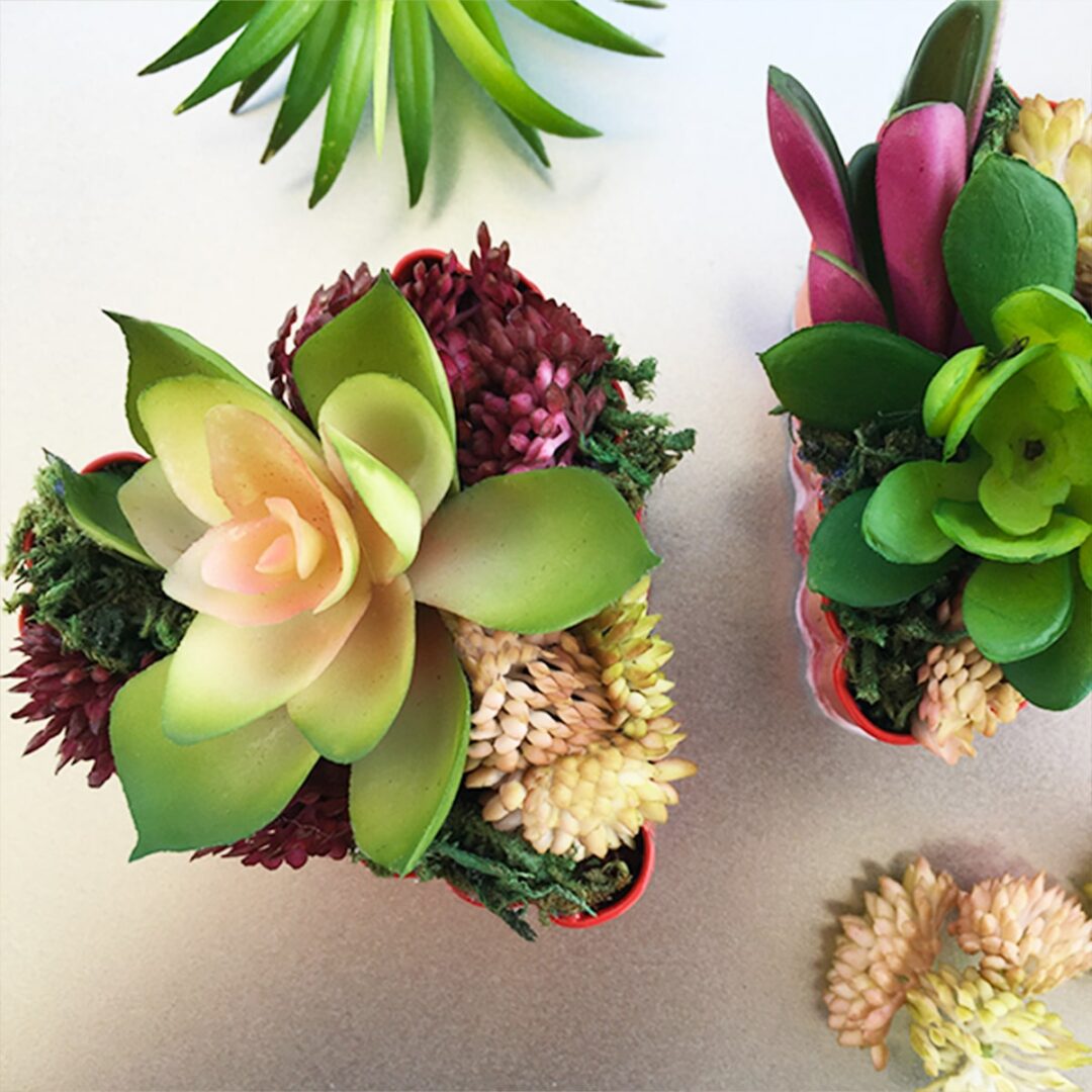 How to Make Succulent Magnets Using Cookie Cutters