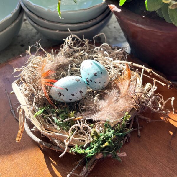 Learn How To Make a Decorative Bird's Nest
